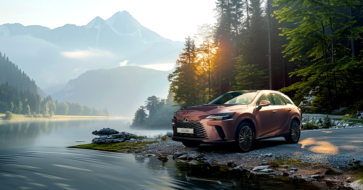 렉서스 24년 5월 전국 시승회 | Lexus Korea